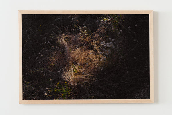 Brushwork | Max Wanger Print Shop